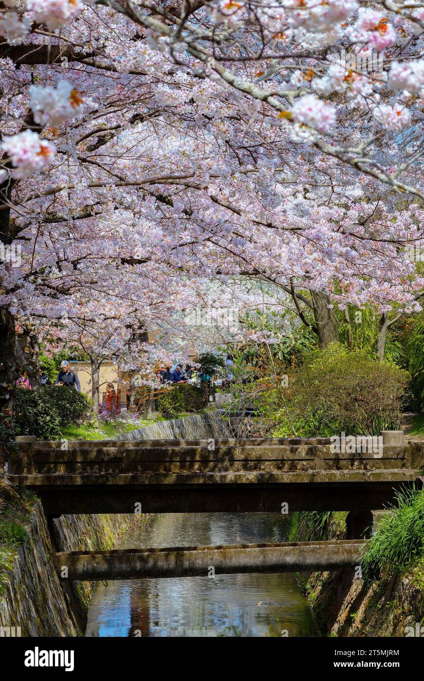 Kyoto, Japan - March 30 2023: The Philosopher's Path is a stone path ...