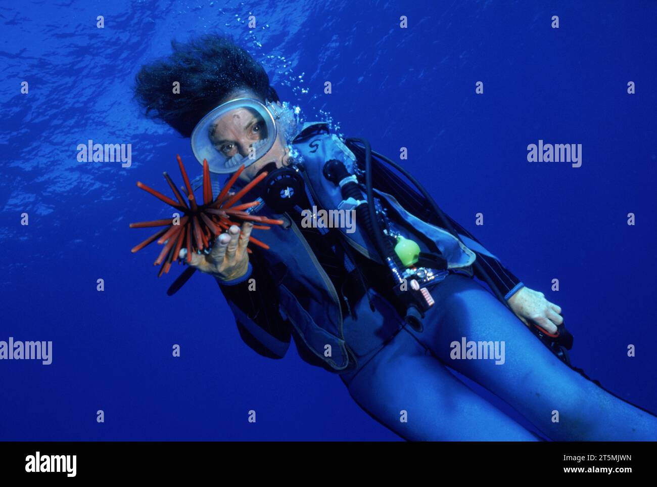 Dr. Sylvia Earle Stock Photo - Alamy