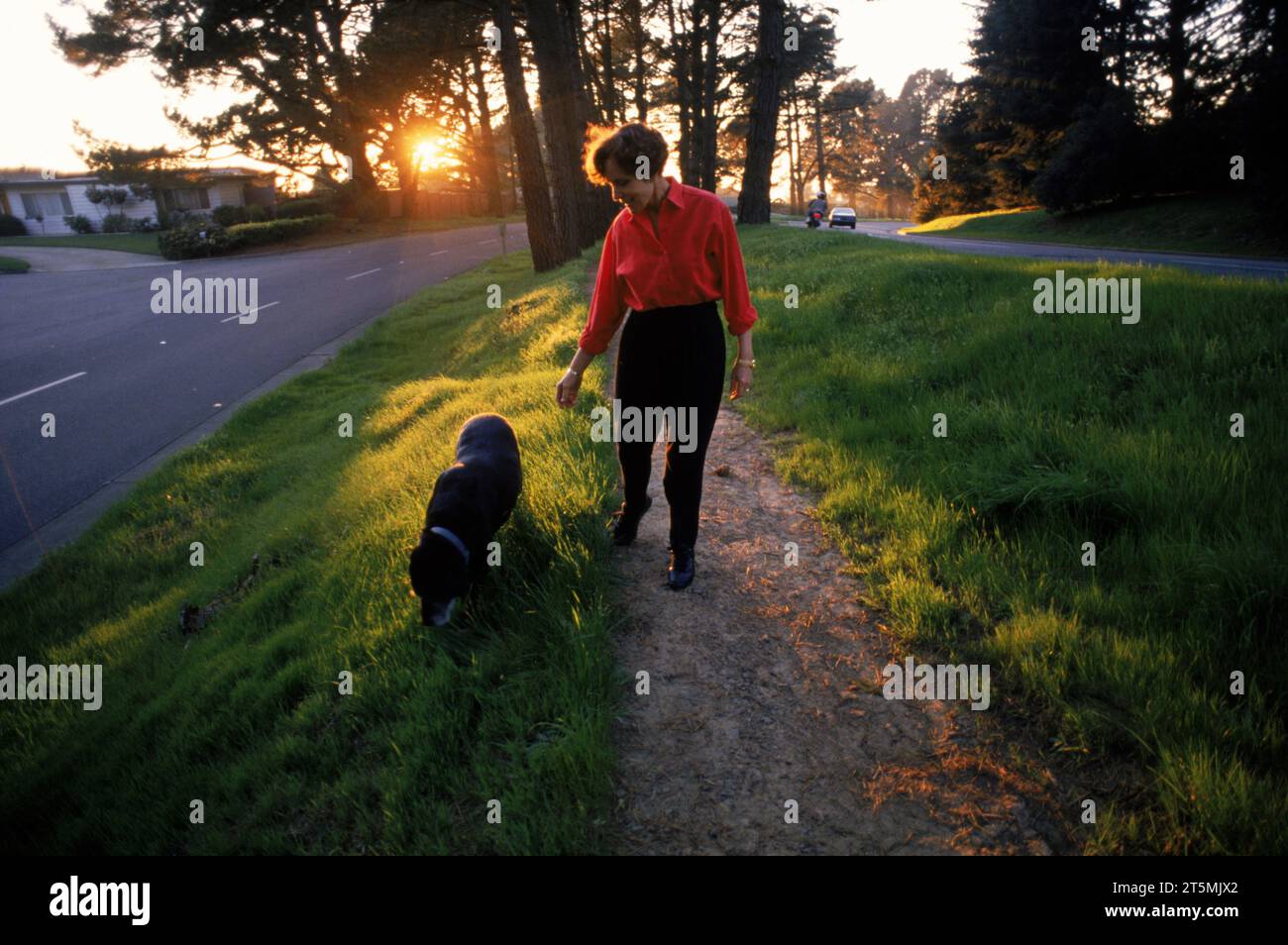 Dr. Sylvia Earle Stock Photo - Alamy