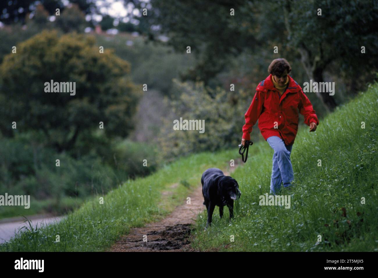 Dr. Sylvia Earle Stock Photo - Alamy