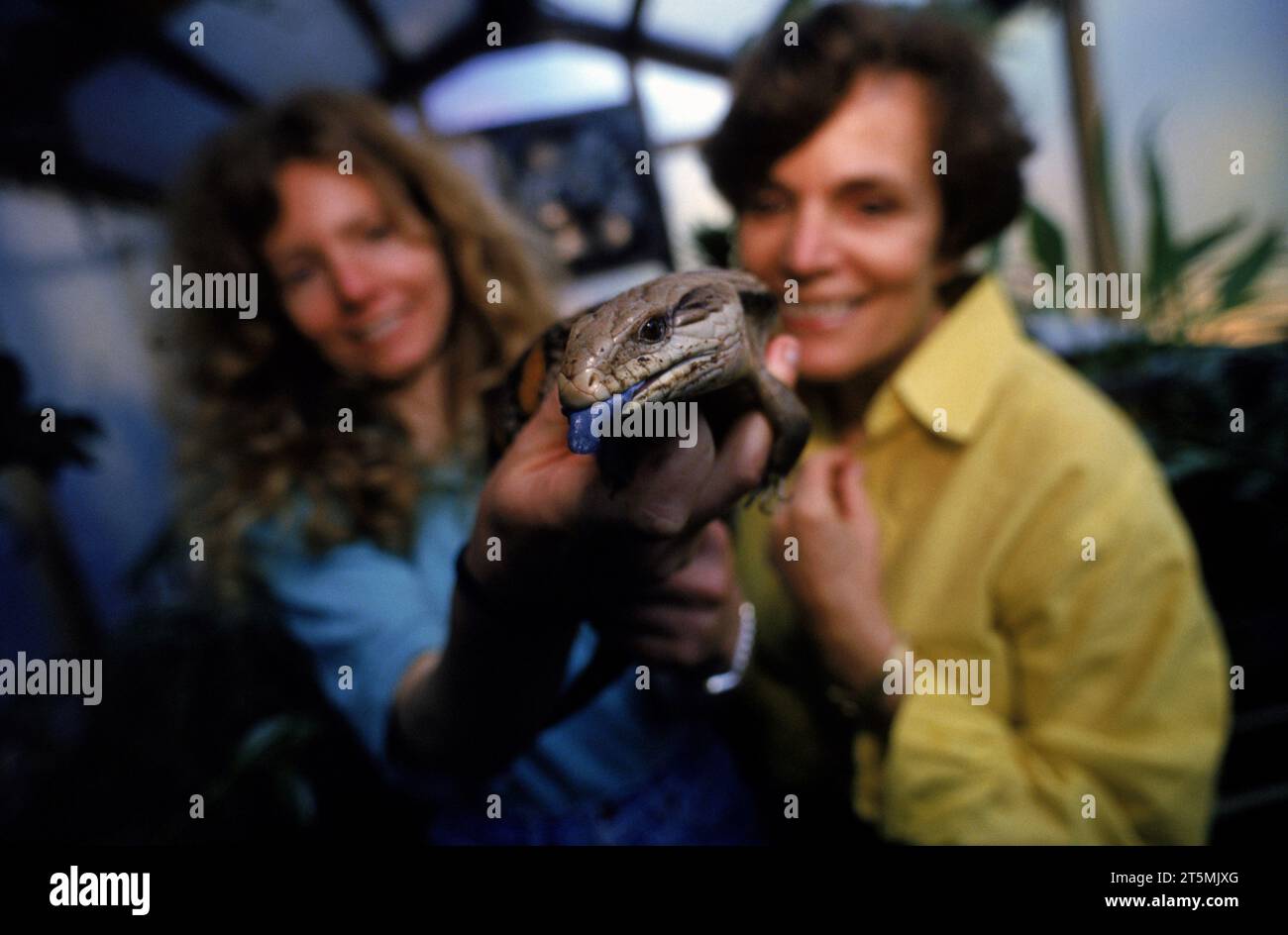 Sylvia earle biologist hi-res stock photography and images - Alamy
