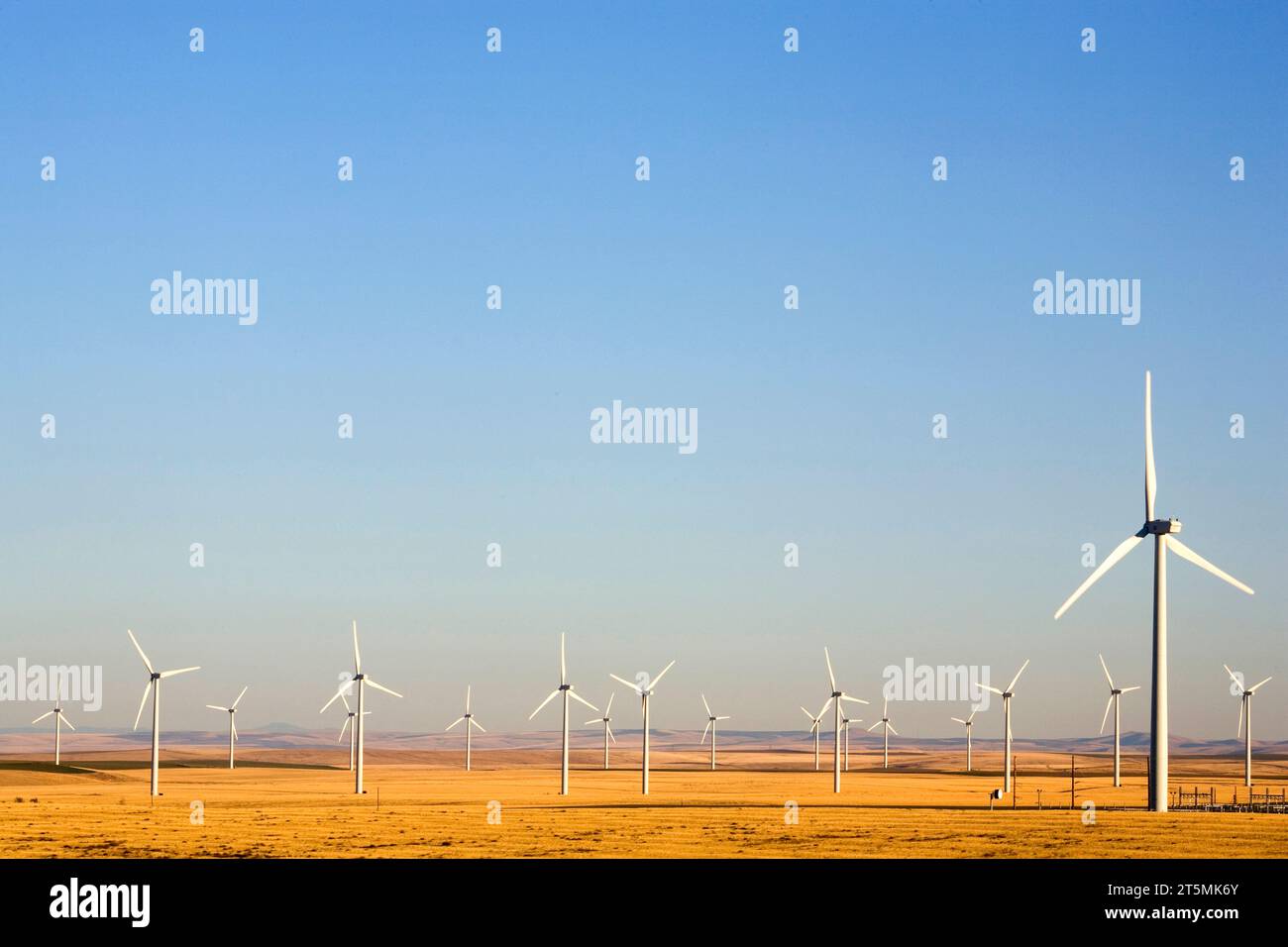 Conservation facility in hi-res stock photography and images - Alamy