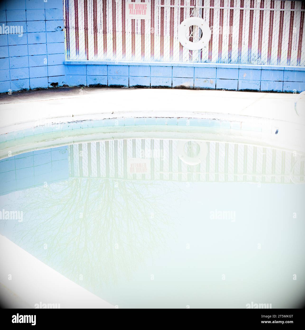 Old swimming pool Stock Photo - Alamy