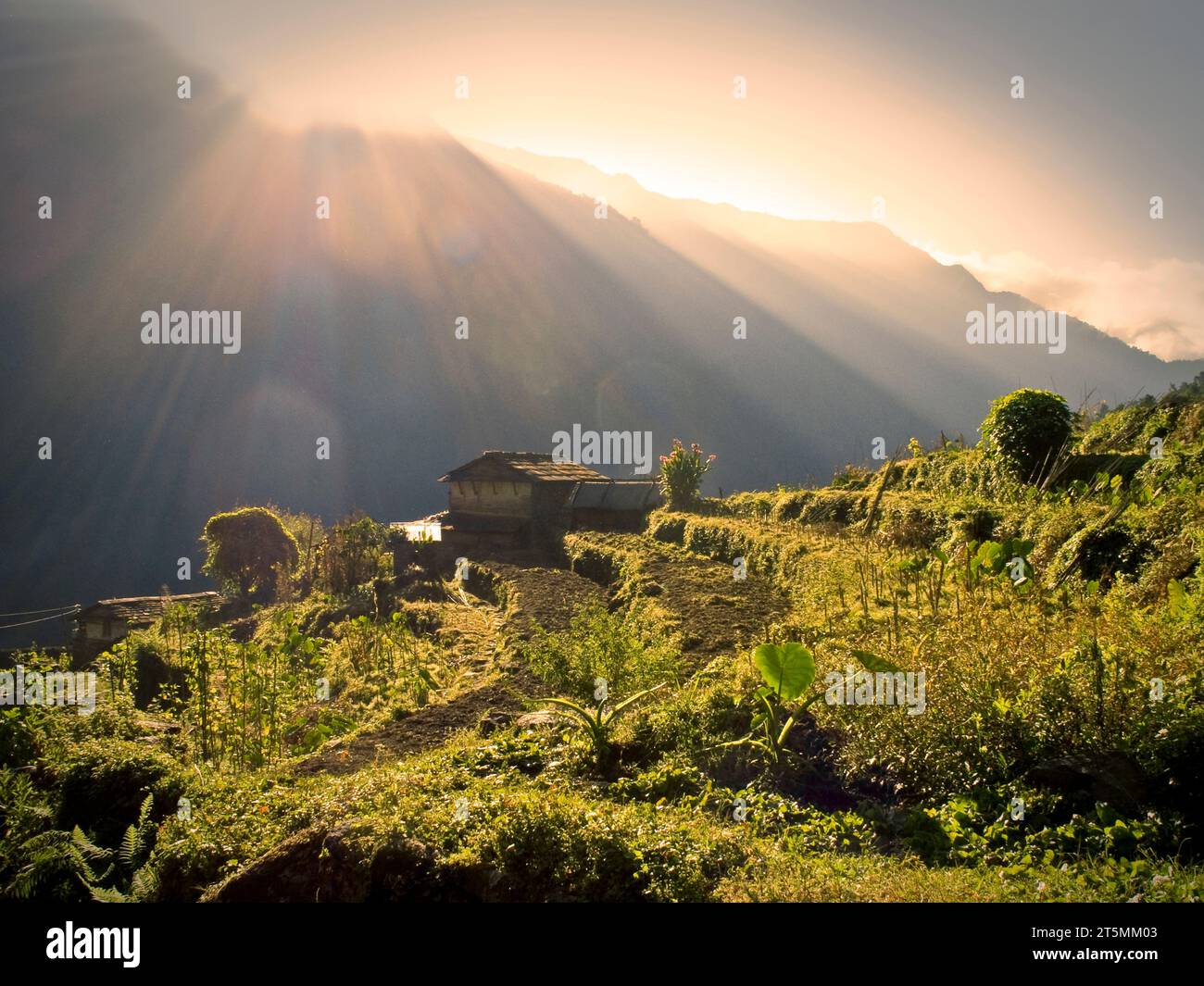 Terraced fields and house backlit by the sun coming over the mountains ...