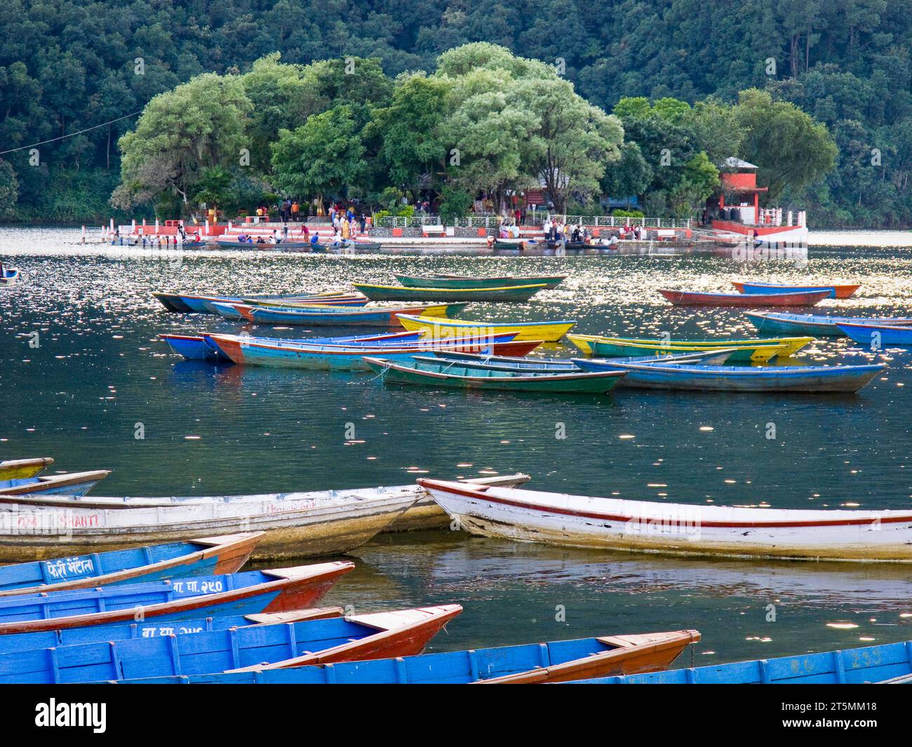 Boats on Phewa lake, Pokhara, Nepal Stock Photo - Alamy