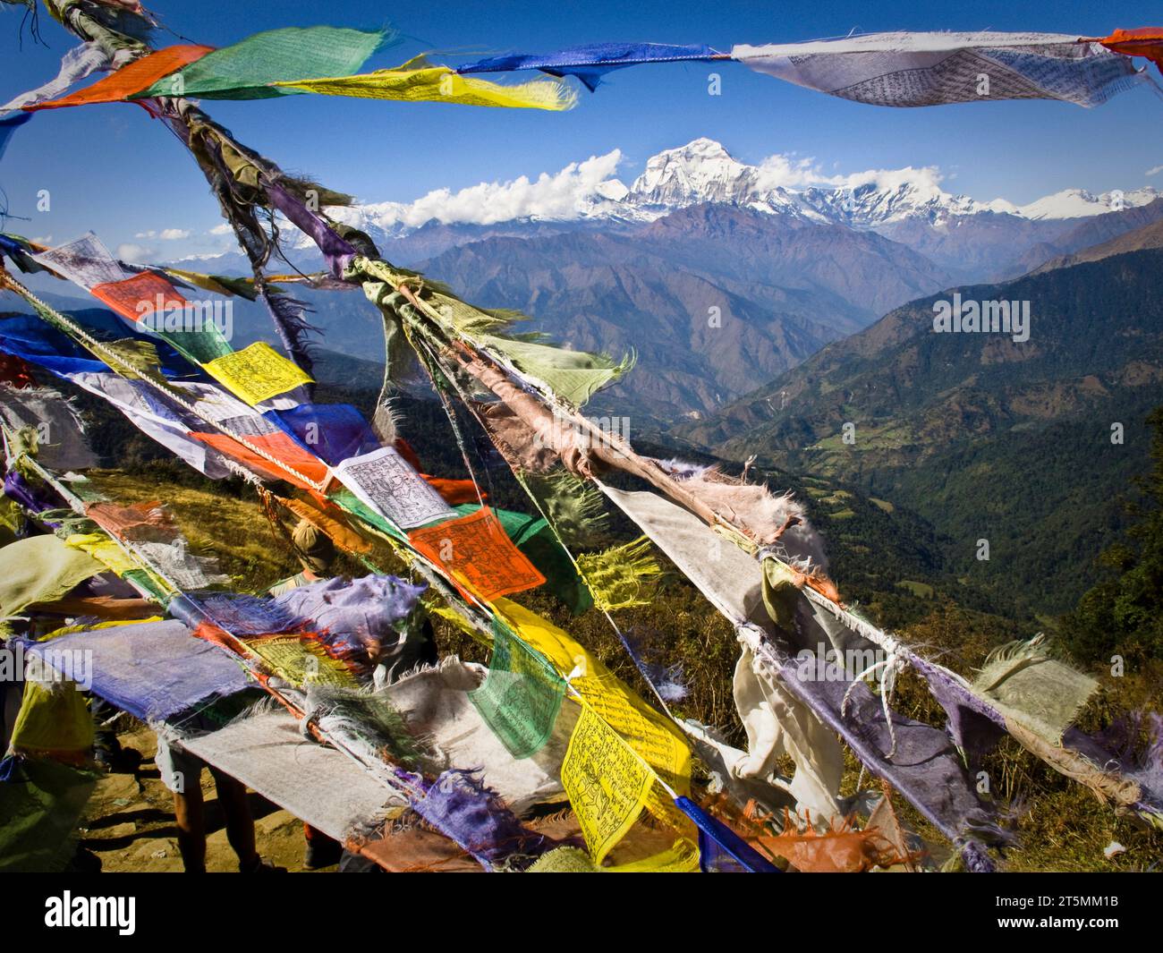 Prayer flags blowing in the wind on top of a pass in Nepal Stock Photo ...