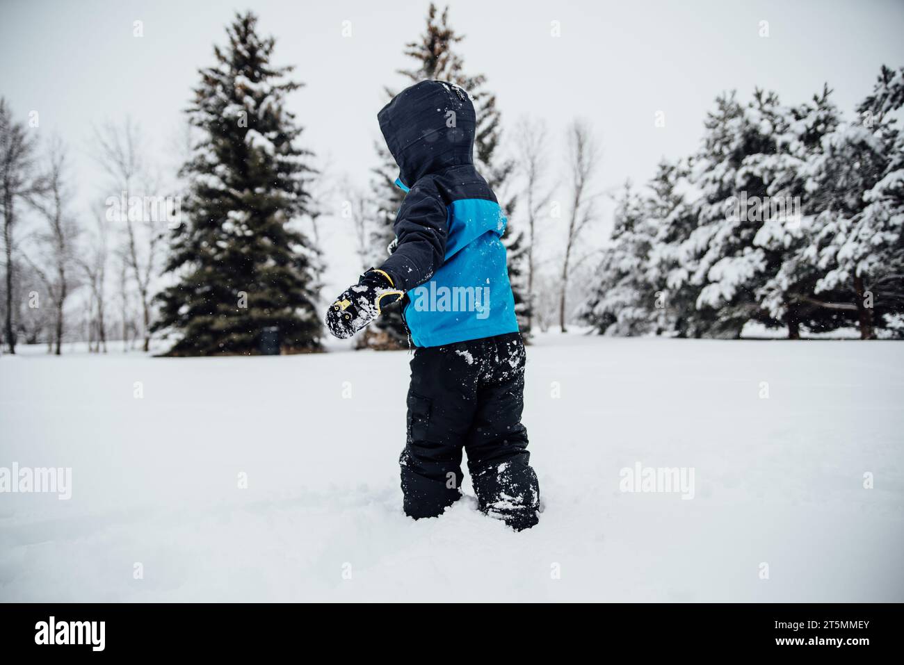 Rear view of child running through snow in yard at home with sno Stock ...