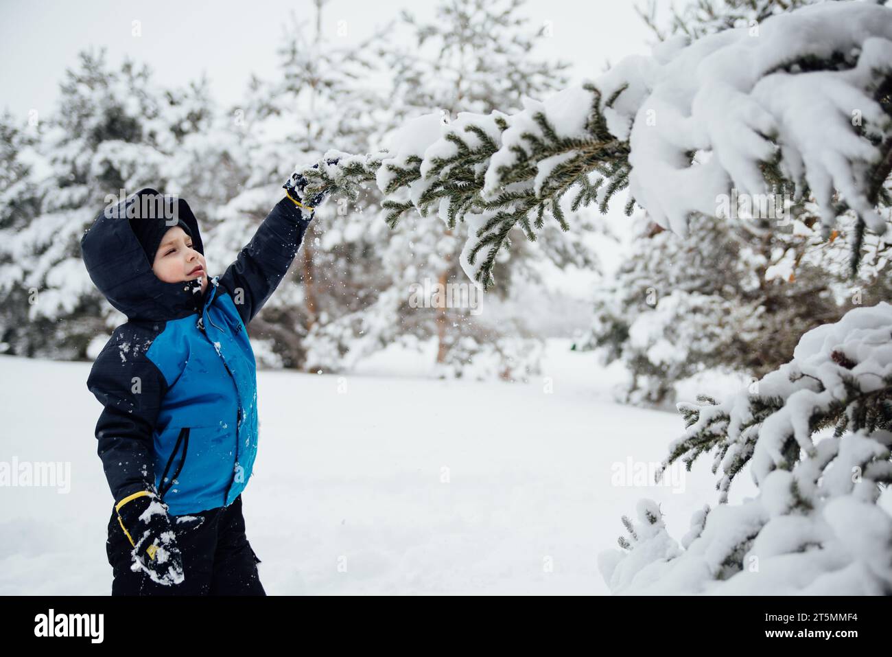 Side view of young boy grabbing tree branch in yard at home Stock Photo ...