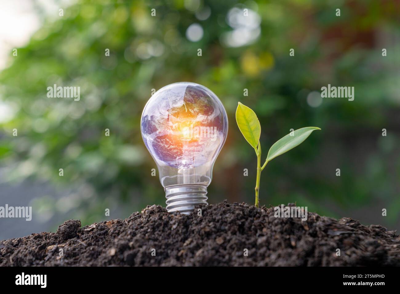 Light bulb planted hi-res stock photography and images - Alamy