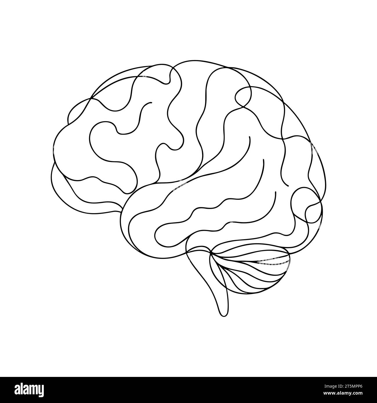 Continuous line art of brain. Simple line art isolated. Vector ...