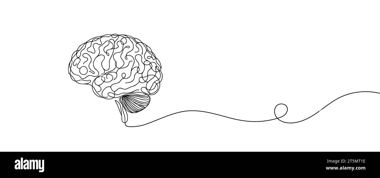 Brain Line Drawing