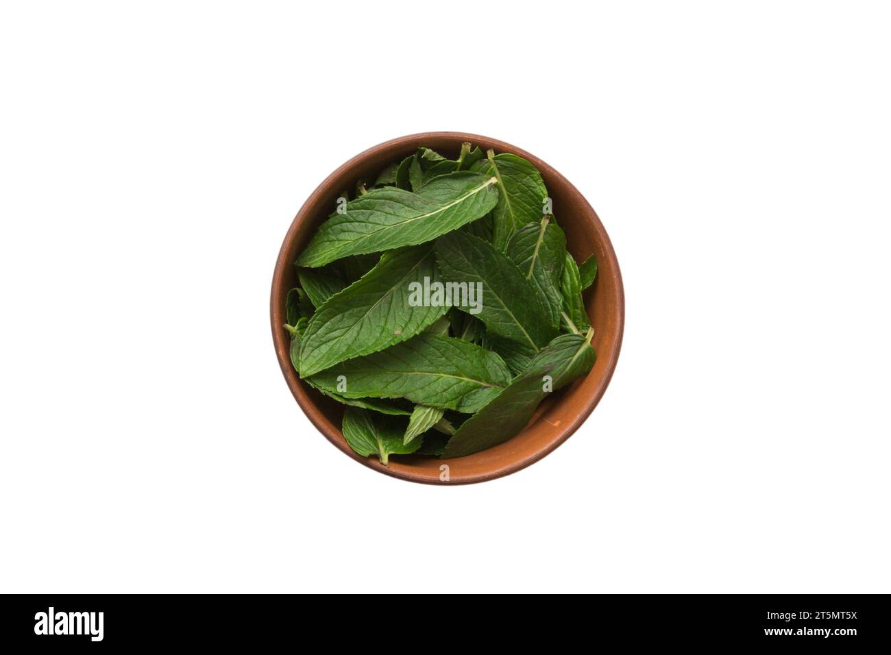 Natural Mint Essential Oil in a Glass Bottle. organic cosmetics with ...