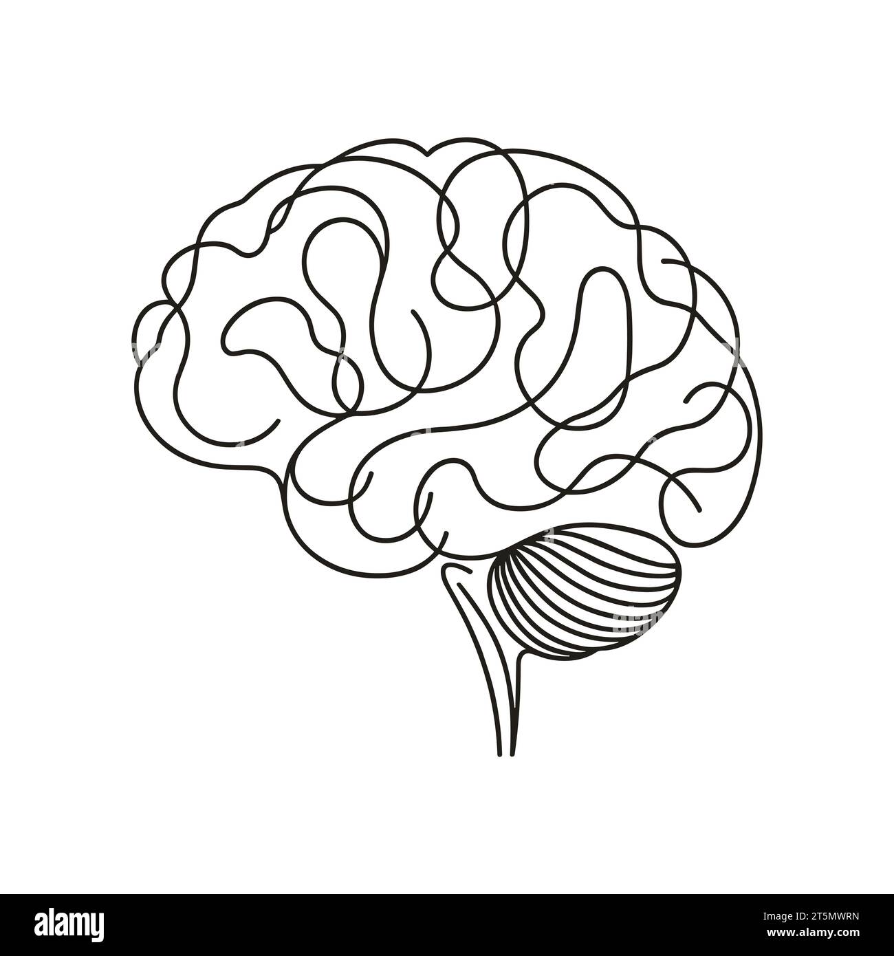 Continuous line art of brain. Simple line art isolated. Vector ...