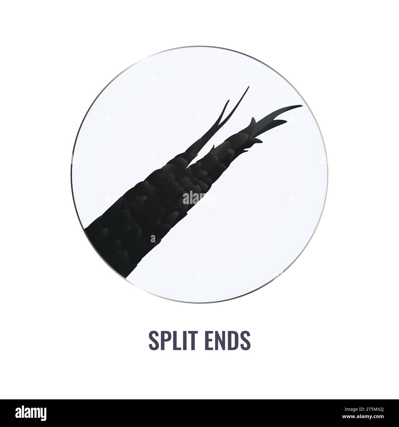 Split Ends Microscope