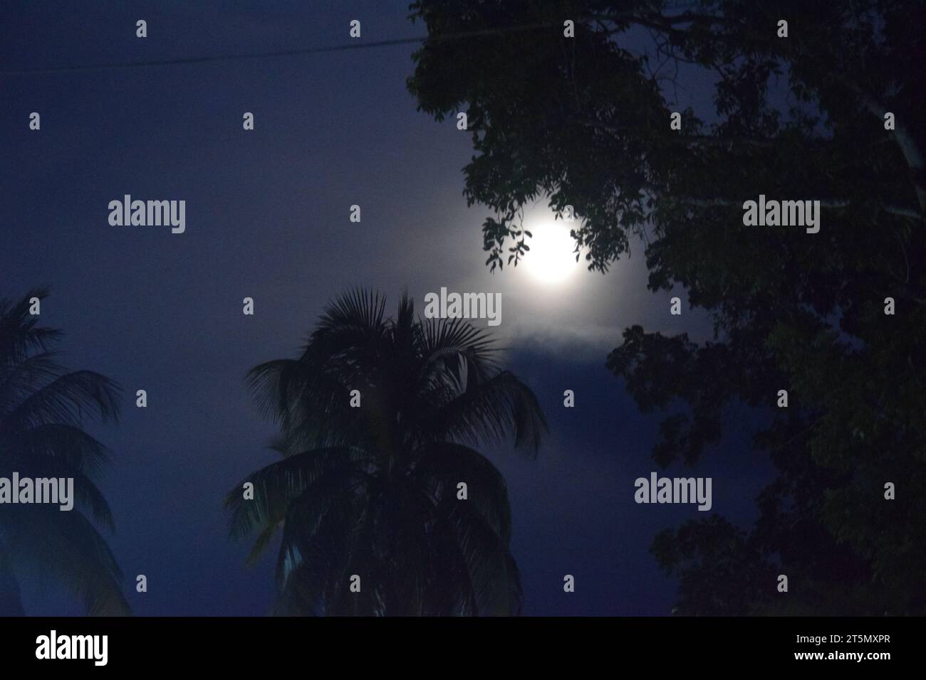 Moon, Fakir Lalon Shah's Mazaar area Stock Photo - Alamy