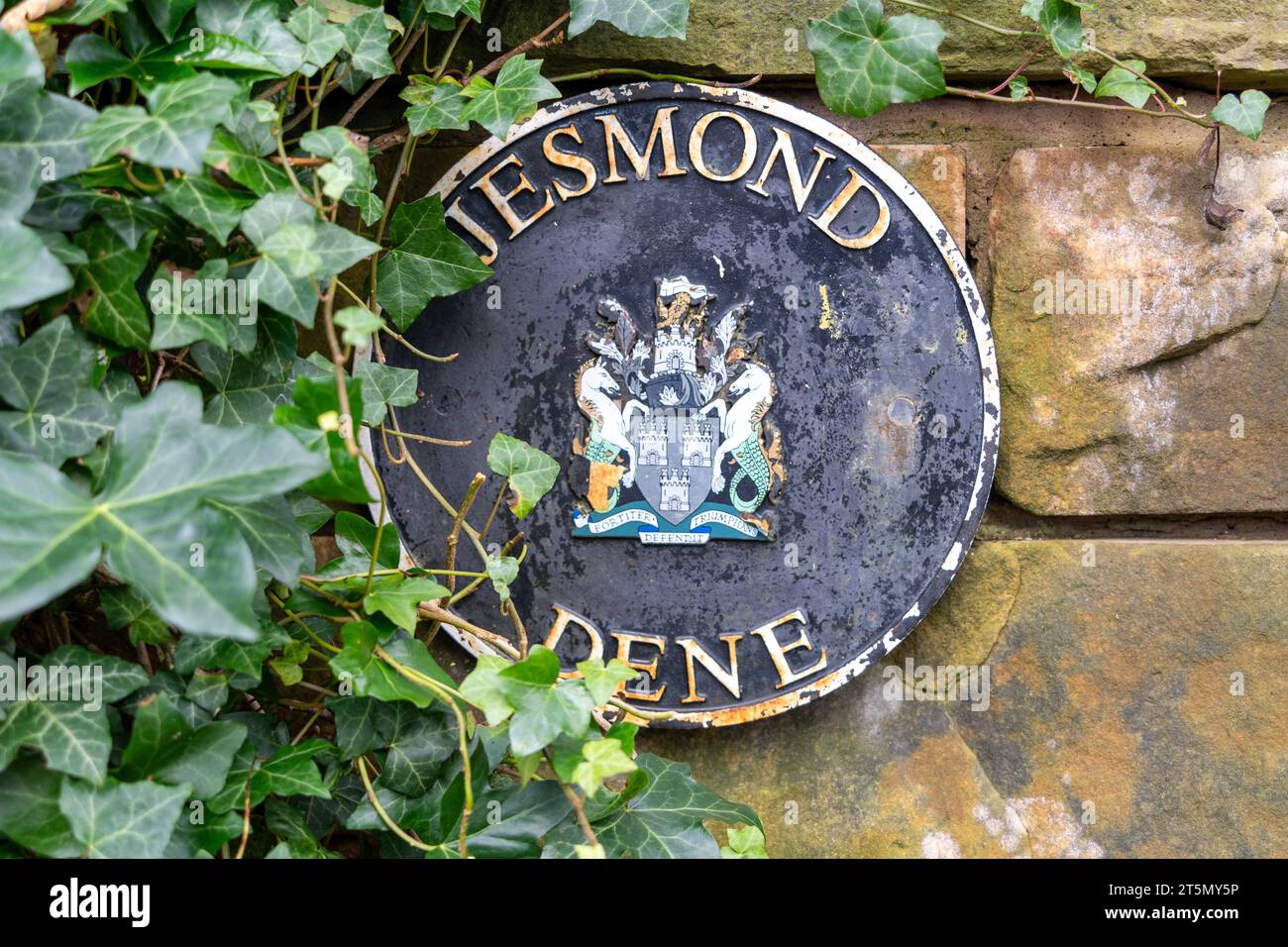 City crest hi-res stock photography and images - Alamy