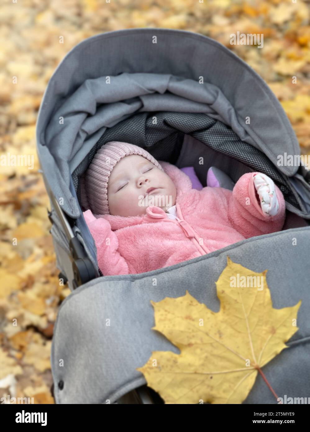 Newborn baby girl sleeping in stroller in autumn park, closeup Stock ...
