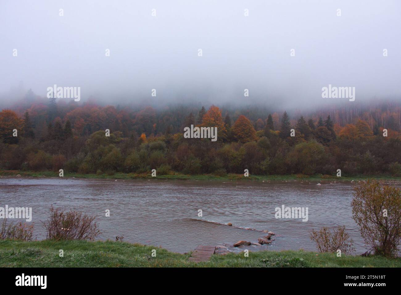 Tranquil riverside pathway in forest hi-res stock photography and ...