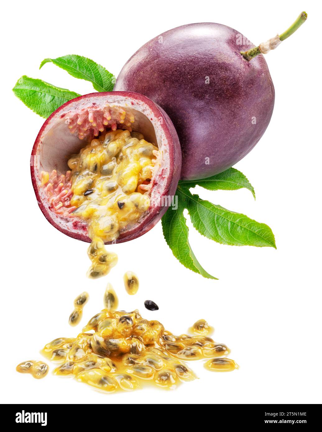 Juicy seedly purple passion fruit pulp falling down from maracuya fruit ...