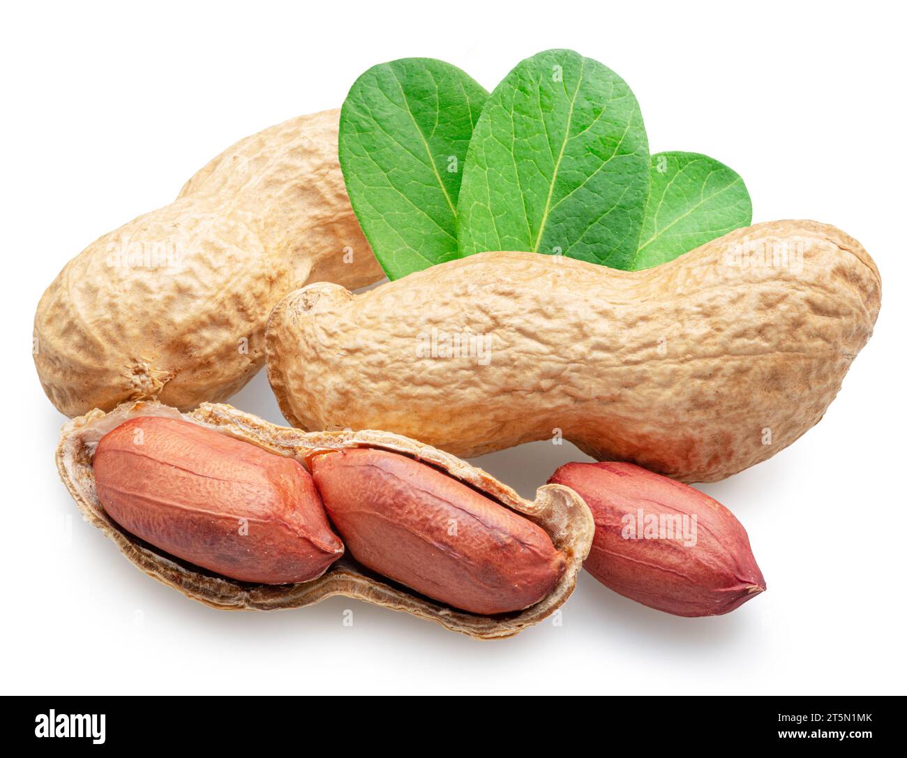 Peanuts whole and cracked isolated on white background. Clipping path ...