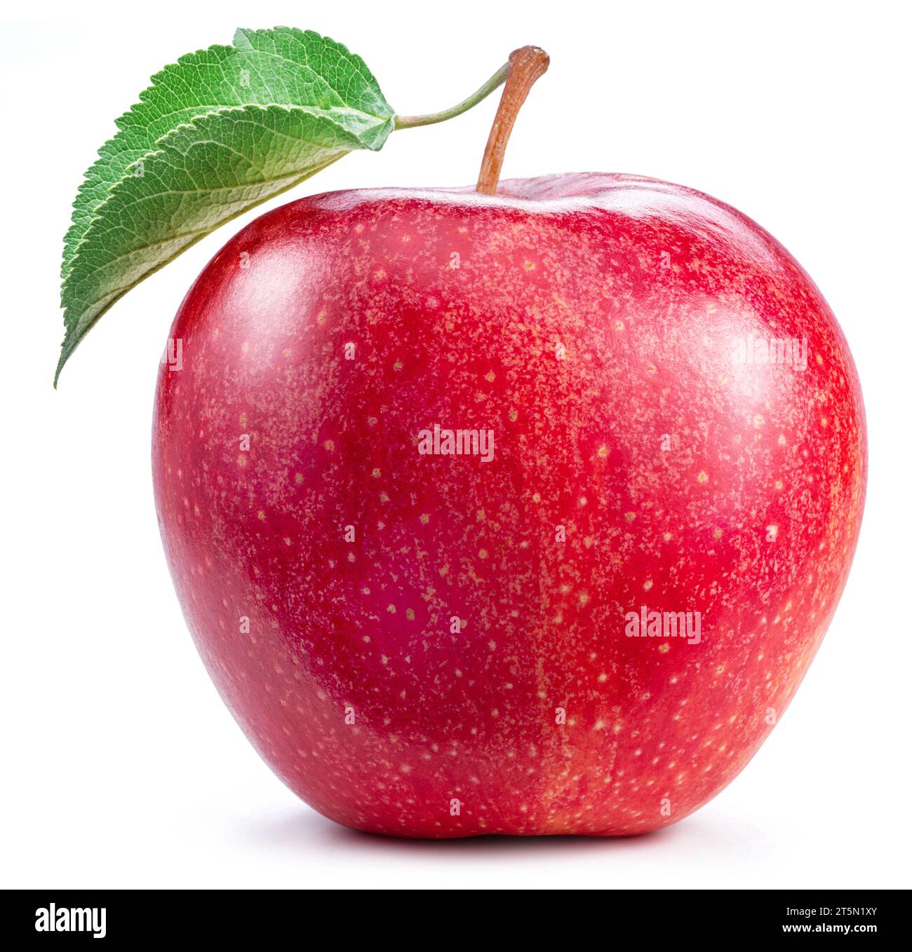 Ripe perfect red apple with green leaf isolated on white background ...