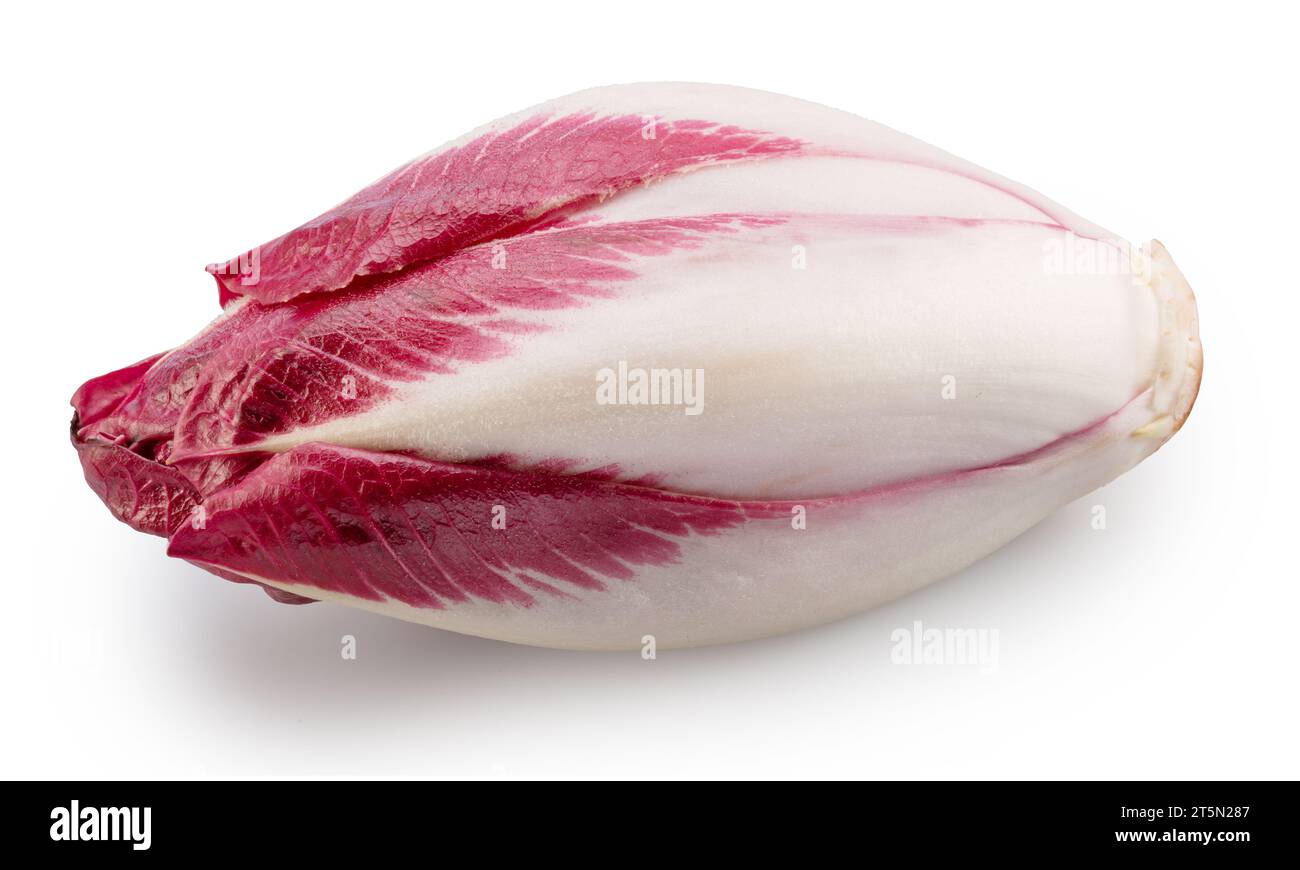 Red endive on white background. File contains clipping path Stock Photo ...