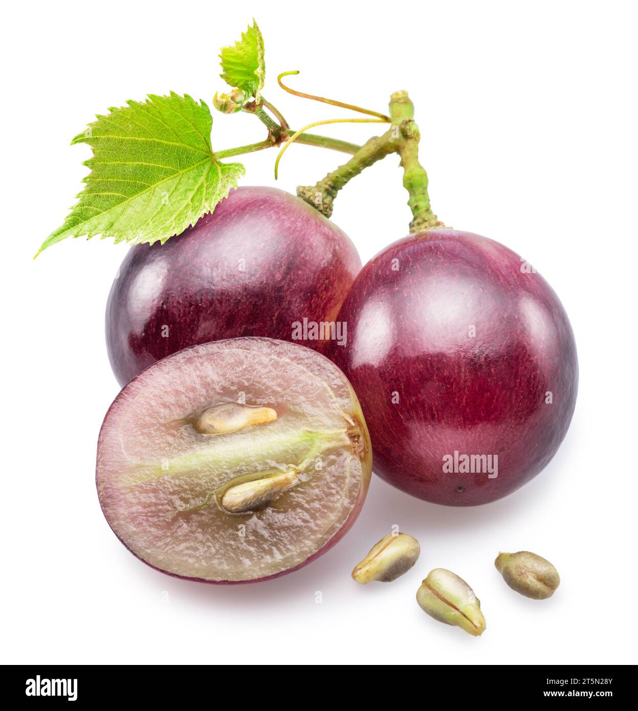 Red table grape berries and grape seeds isolated on white background ...