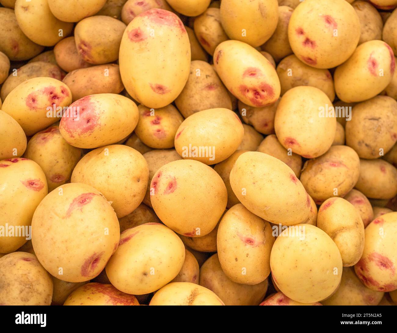 Potato tubes close up on the farm market stall. Food background Stock ...