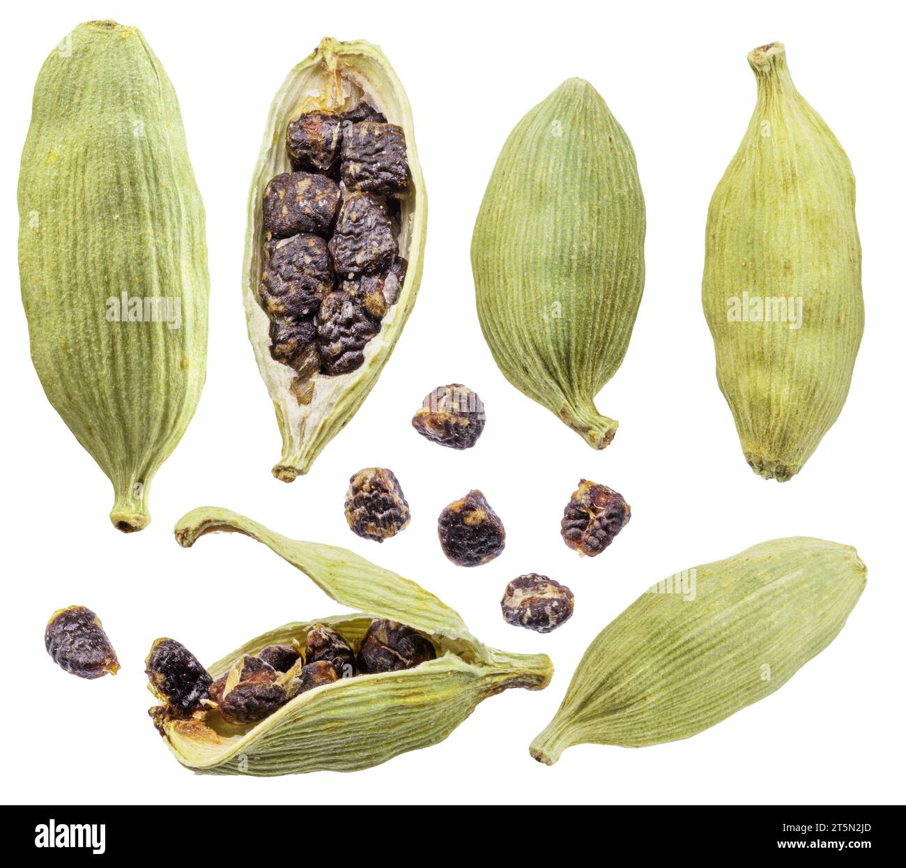 Seeds of cardamom spices isolated on a white background, mulled wine ...