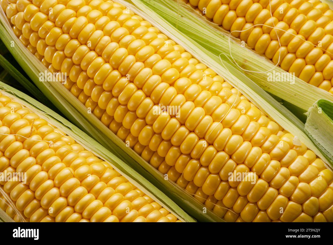 Ripe corn heads with corn whiskers and leaves. Nice vegetable cooking ...