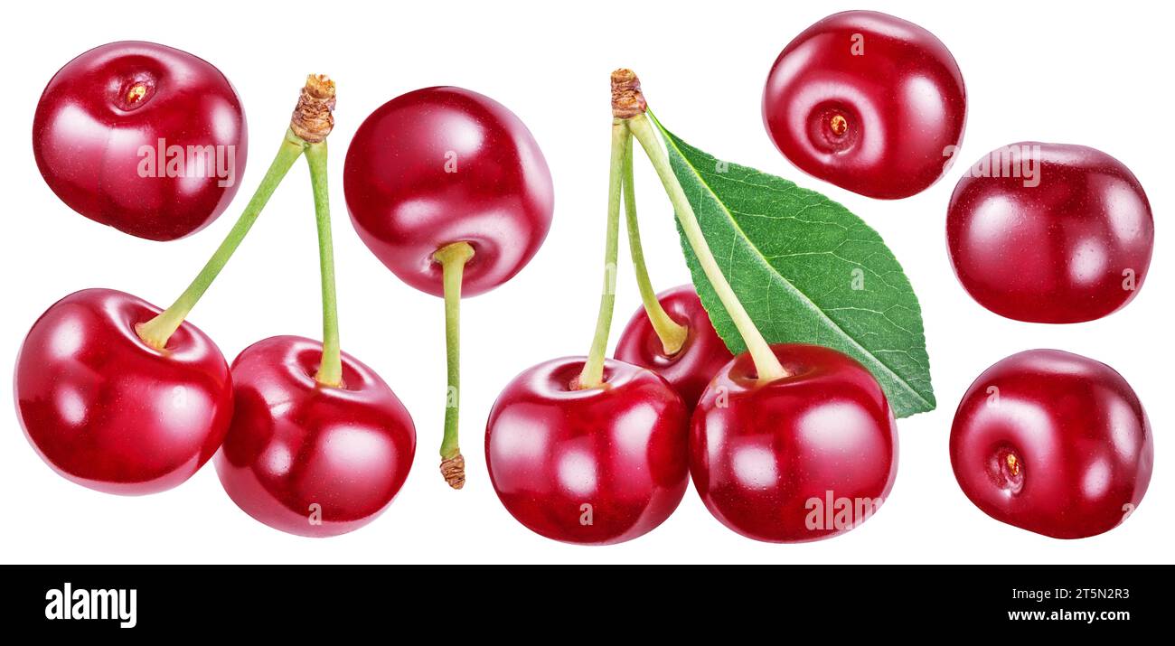 Contains fiber Cut Out Stock Images & Pictures - Alamy