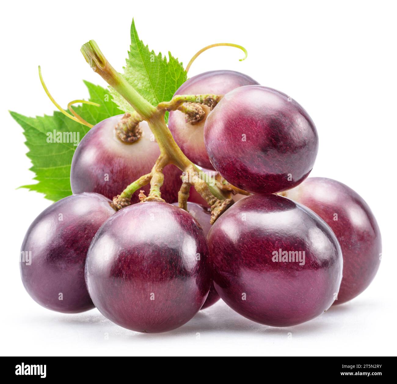 Small bunch of red table grape with grape leaves isolated on white ...