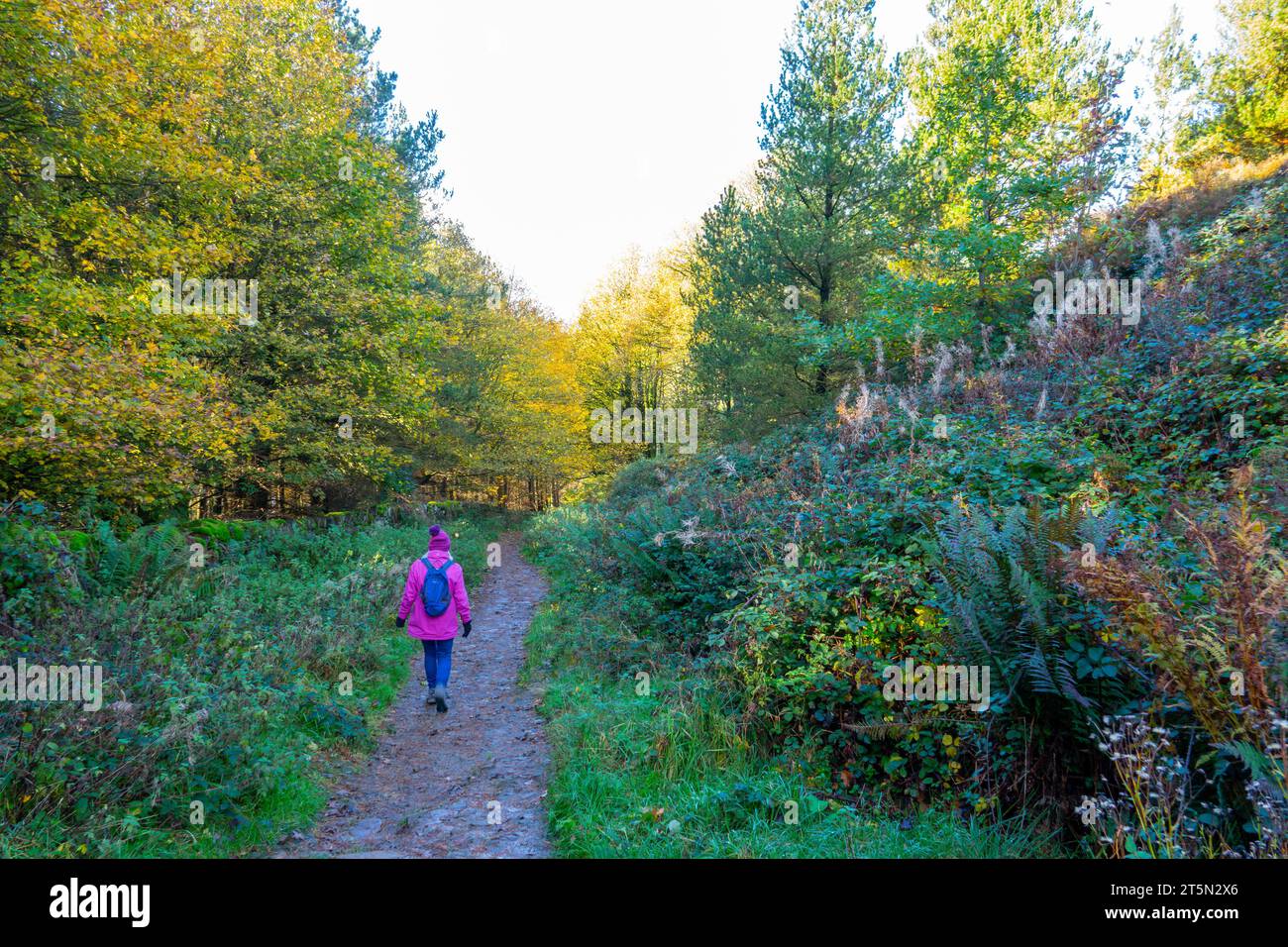 Autumn morning walk at Digley reservoir, Yorkshire Stock Photo - Alamy