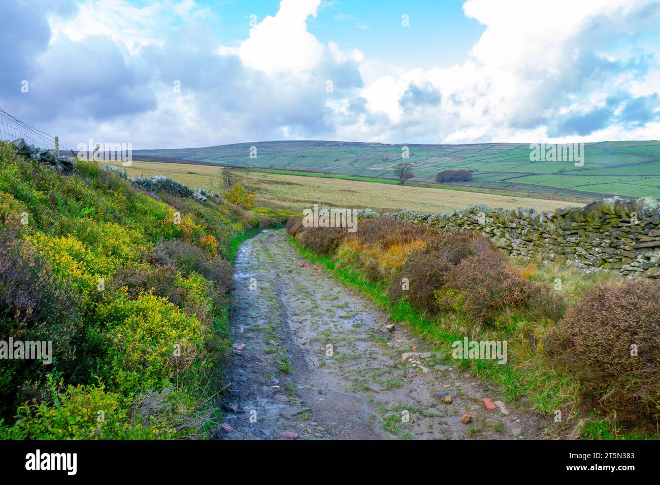 Autumn morning walk at Digley reservoir, Yorkshire Stock Photo - Alamy