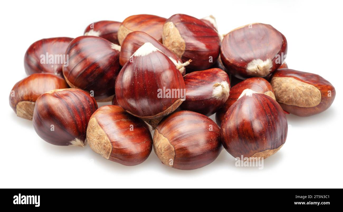 Edible sweet chestnuts isolated on white background. Great food ...