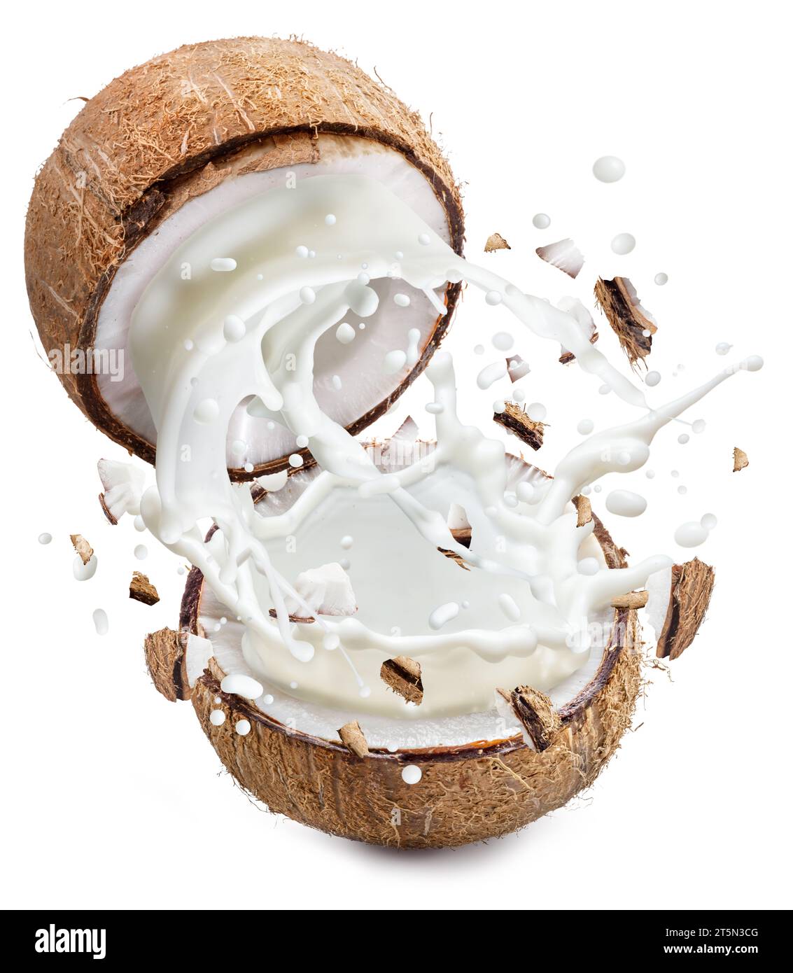 Coconut milk flying out from cracked coconut fruit. File contains ...