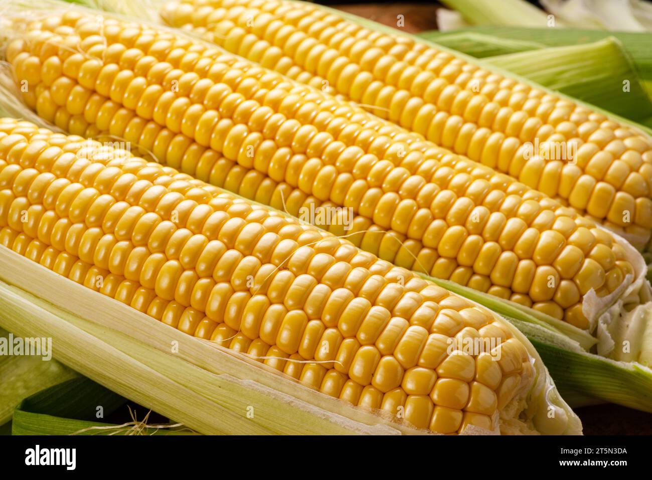 Ripe corn heads with corn whiskers and leaves. Nice vegetable cooking ...