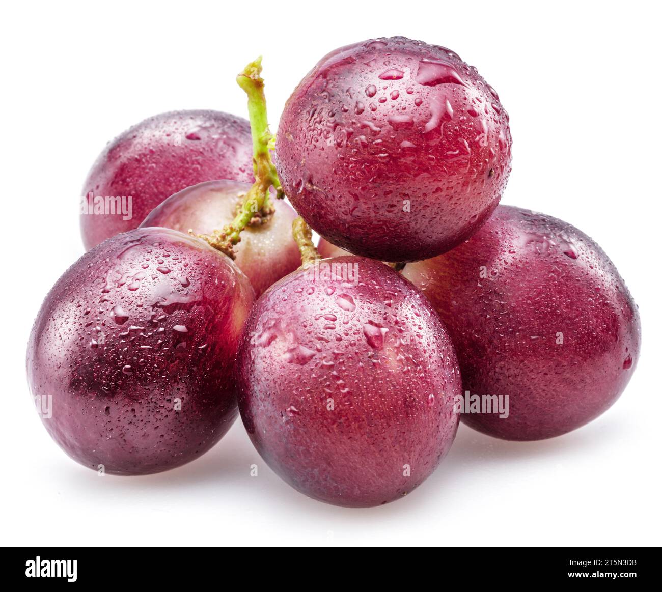 Small bunch of red table grape covered with water drops isolated on ...