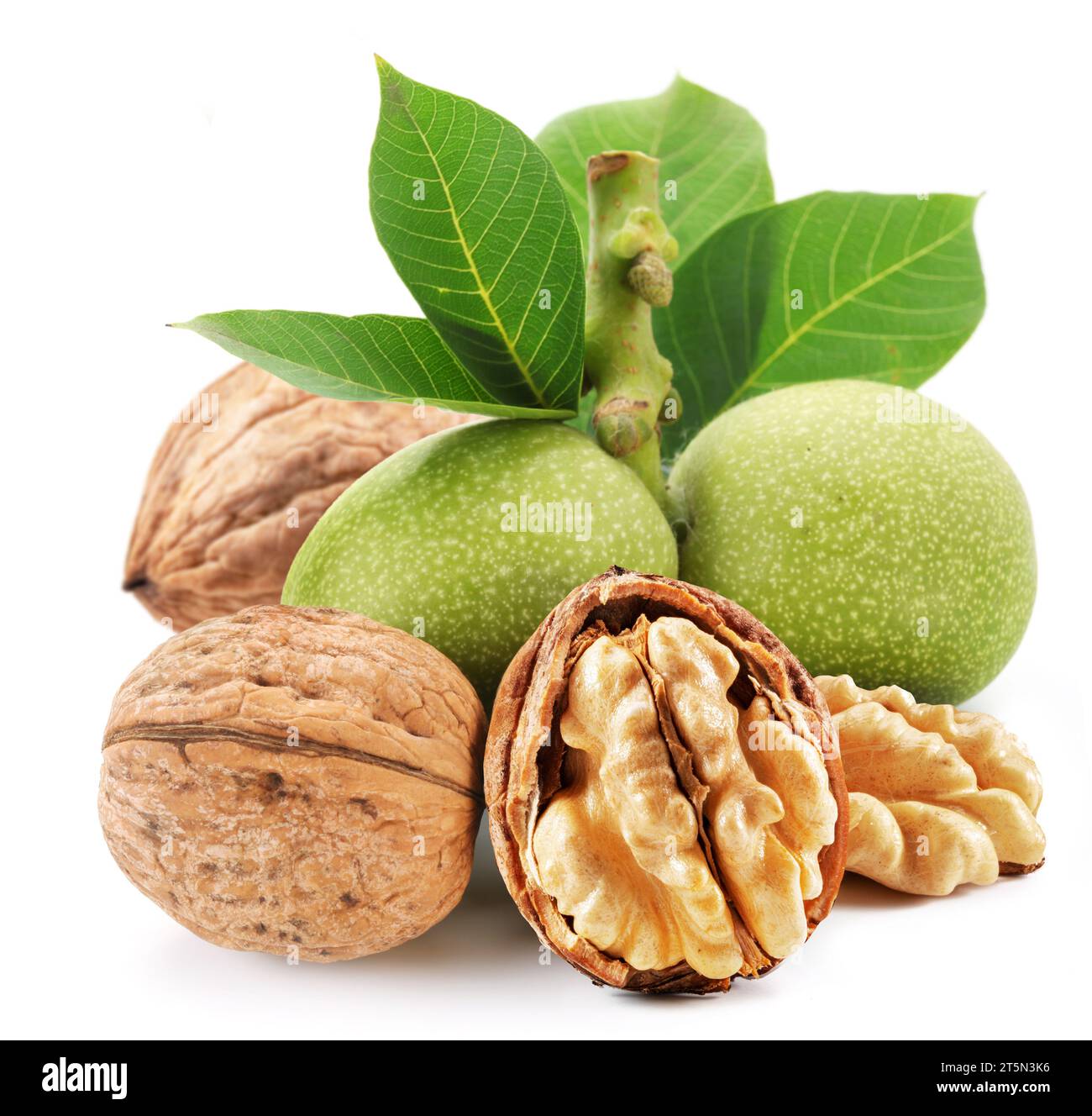 Whole walnut and walnut kernel with leaves isolated on white background ...