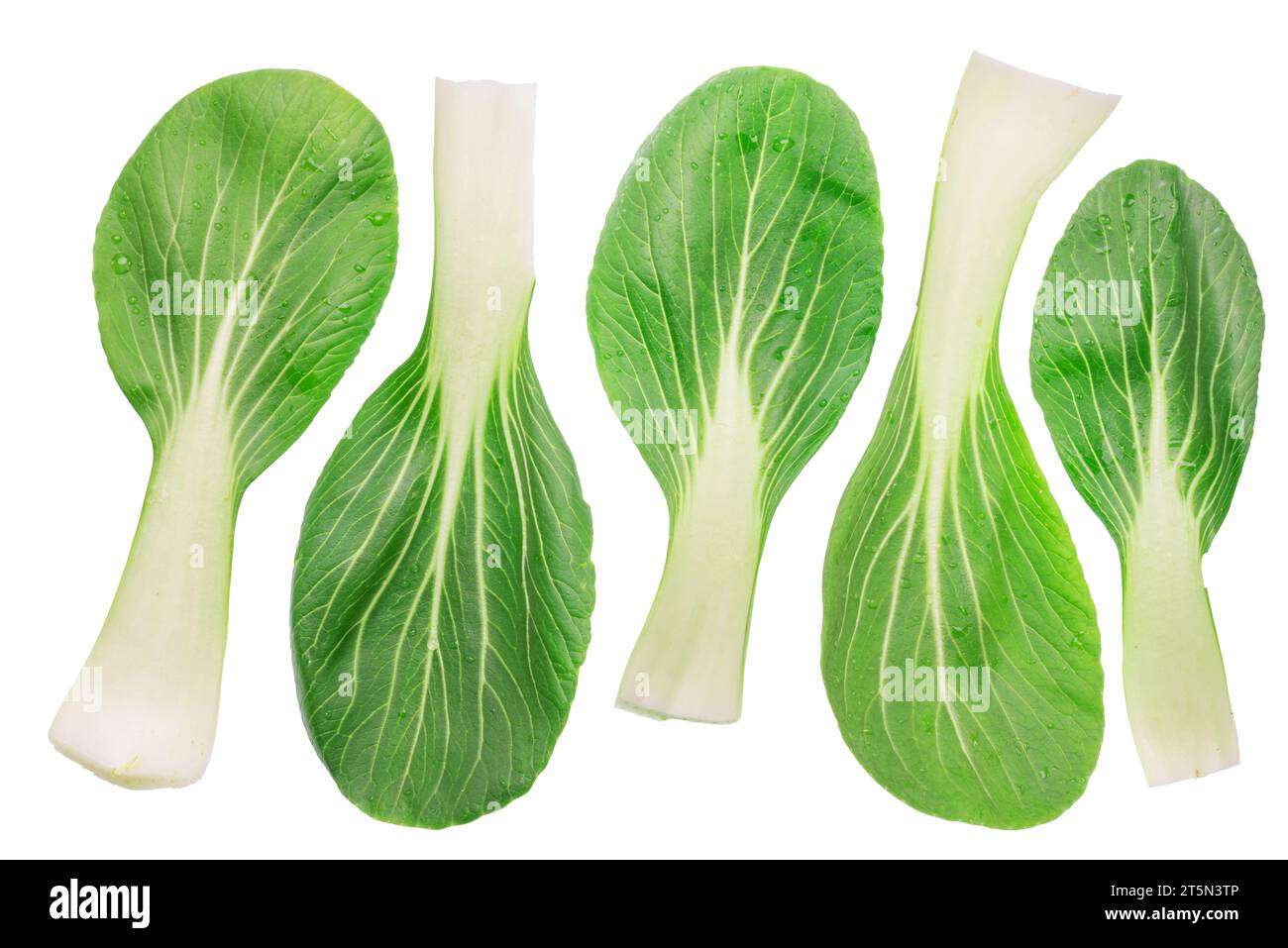 Bok choy leaves or chinese cabbage leaves on white background. File ...