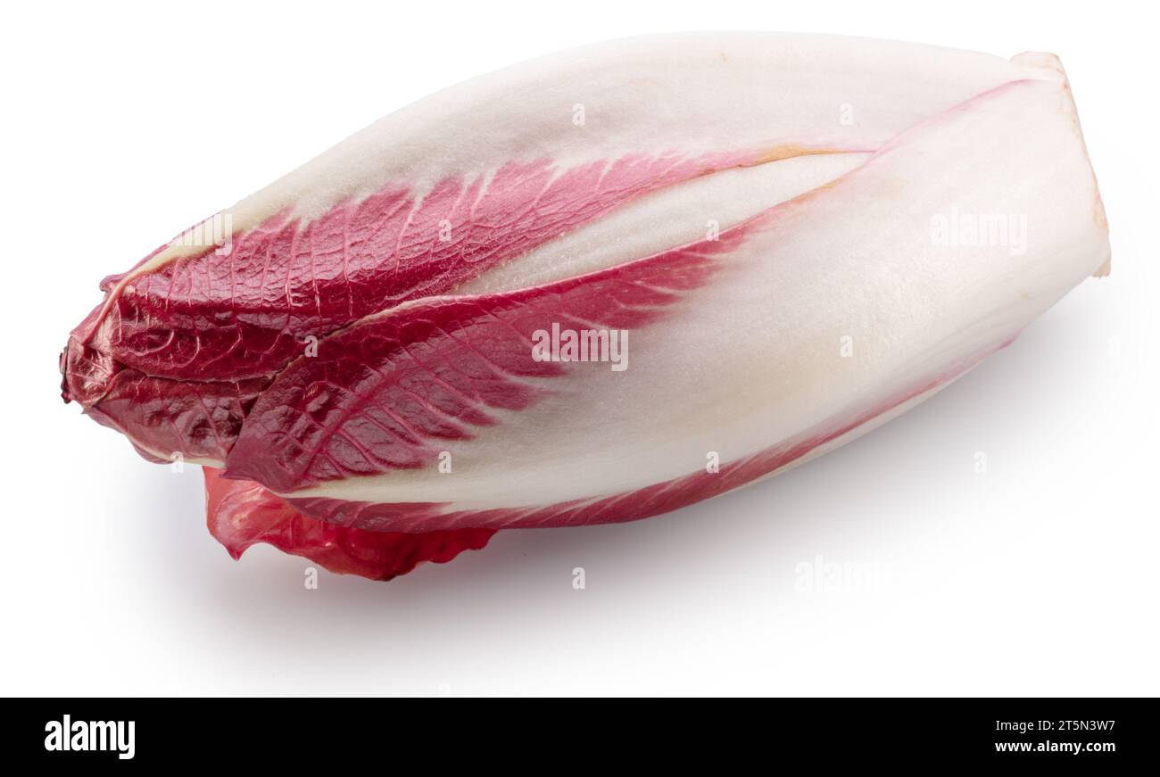 Red endive on white background. File contains clipping path Stock Photo ...