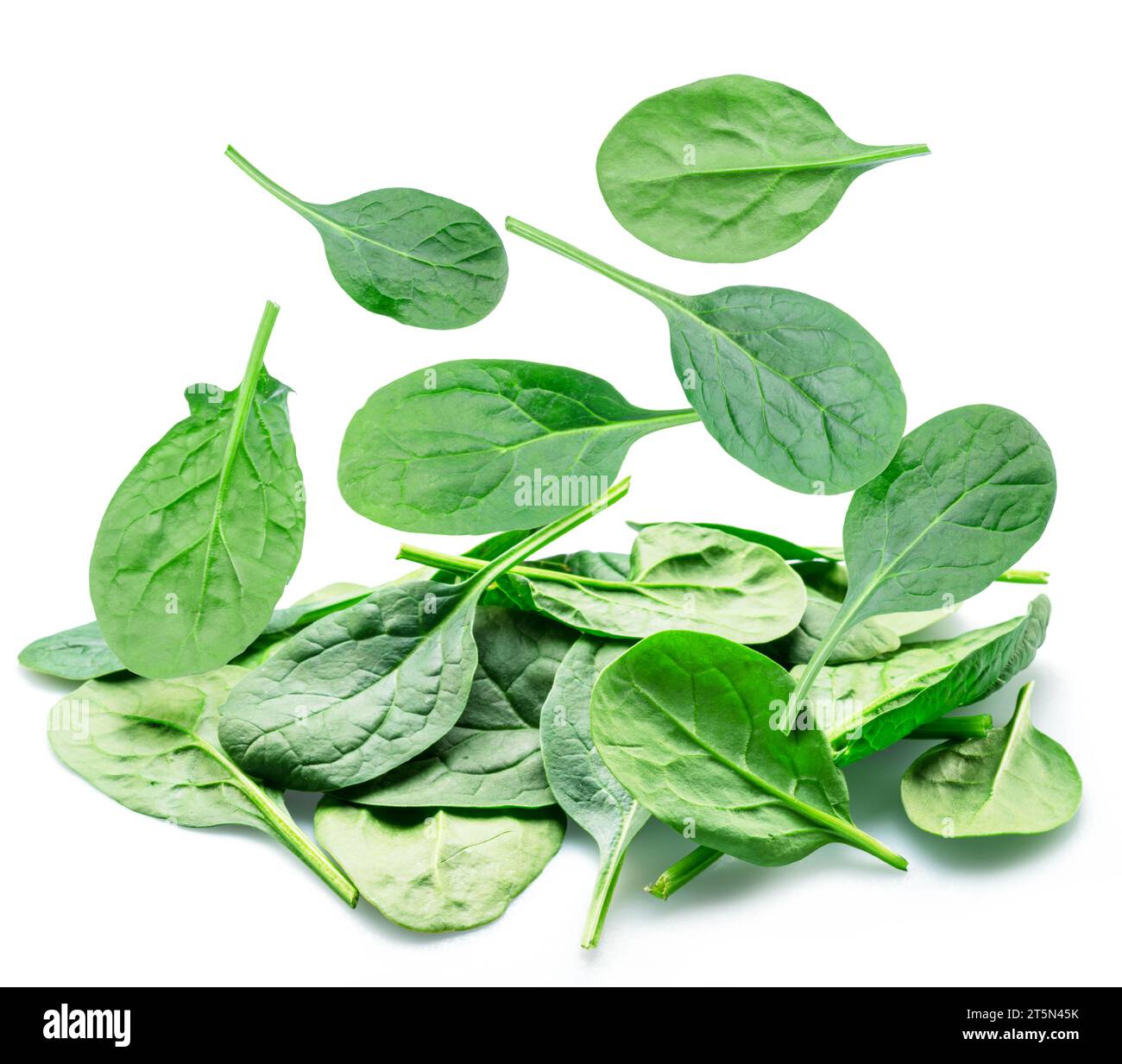 Falling spinach leaves isolated on white background Stock Photo - Alamy