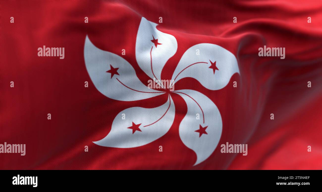 Close-up of Hong Kong flag waving. Red field with a white, stylized ...