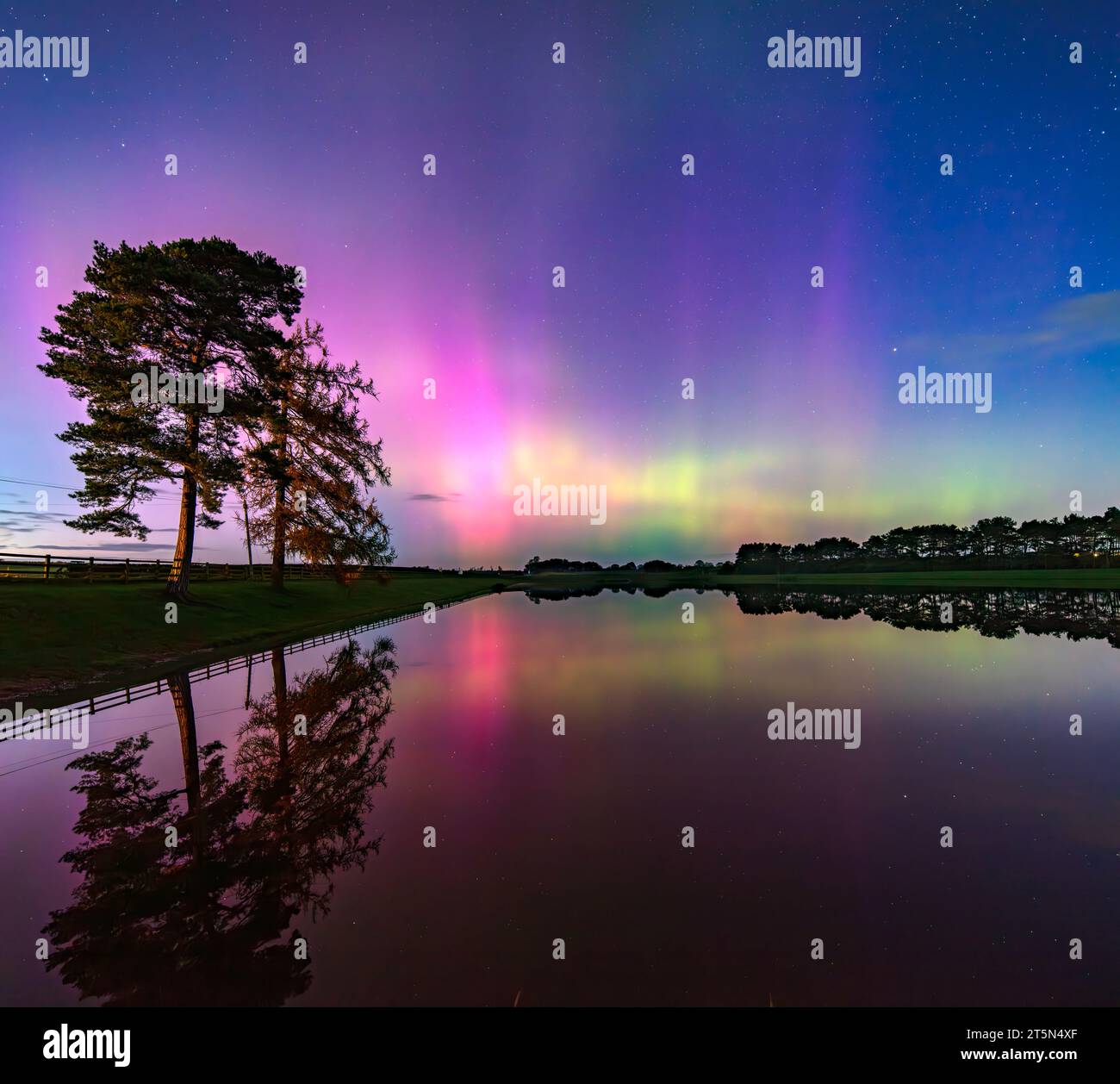The Northern Lights ( Aurora Borealis ) seen over Whittle Dene ...