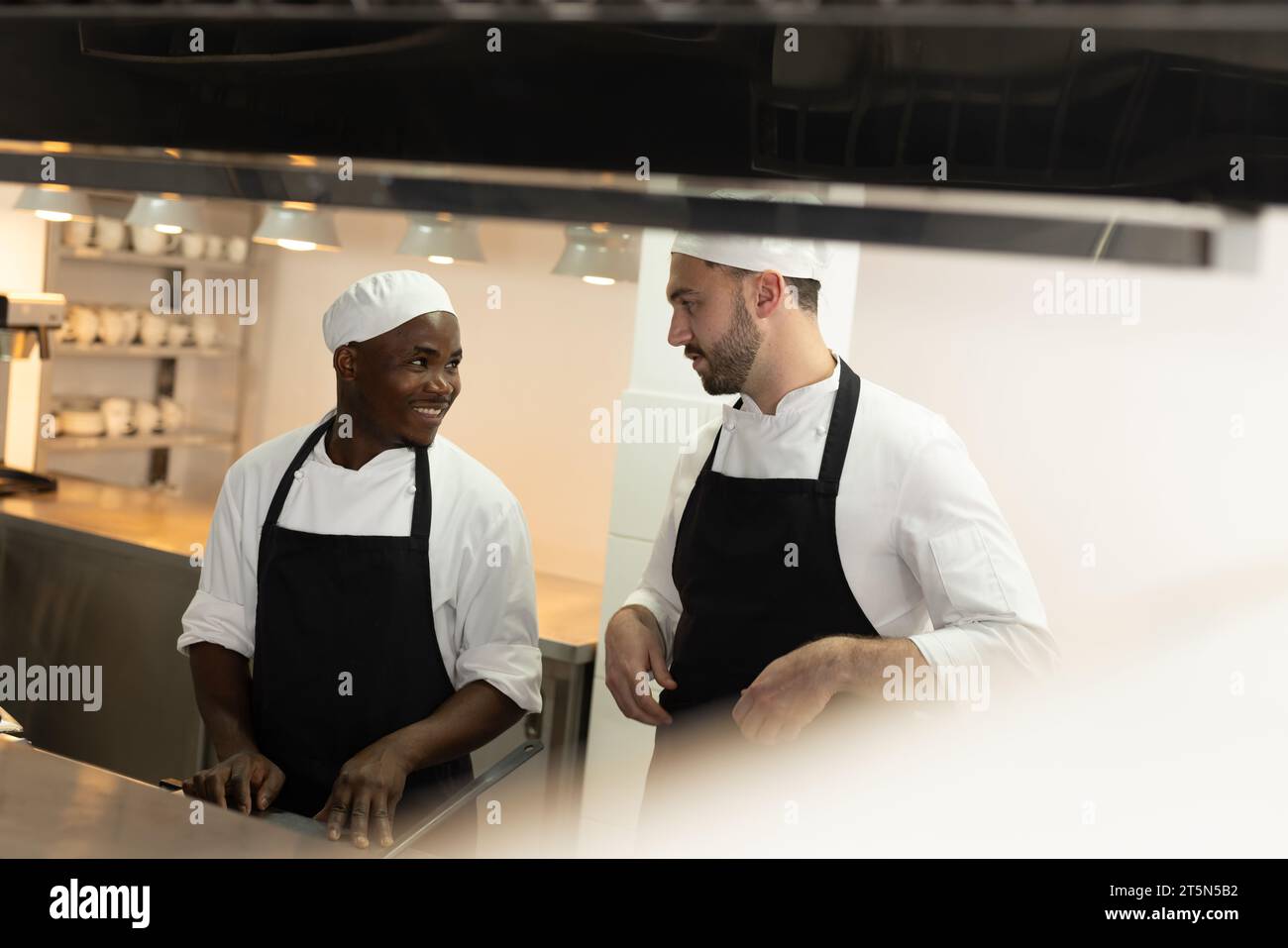 Two diverse male chefs discussing in restaurant kitchen, copy space ...