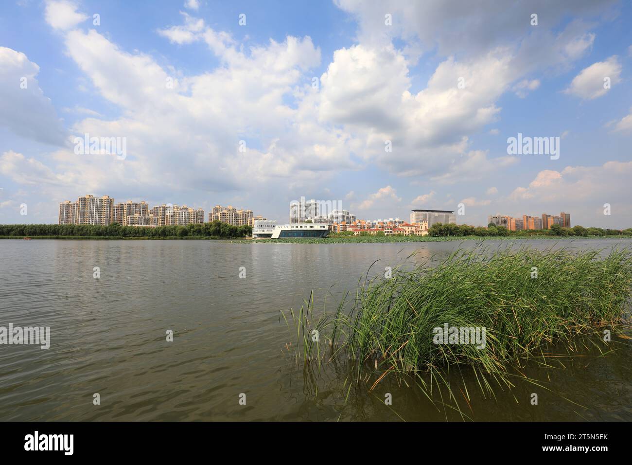 Waterfront City Scenery, North China Stock Photo - Alamy