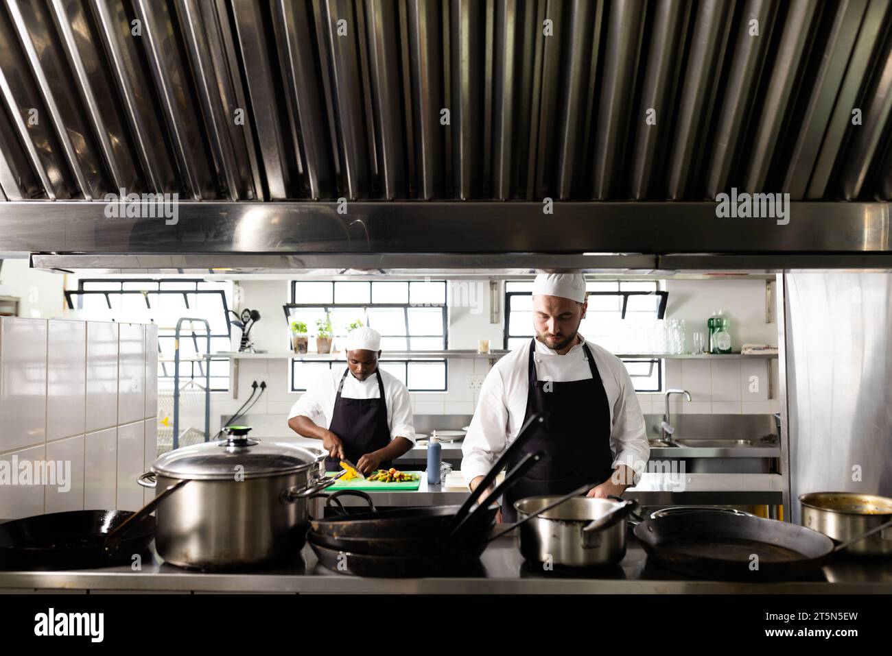 Two focused diverse male chefs preaparing meals in restaurant kitchen ...