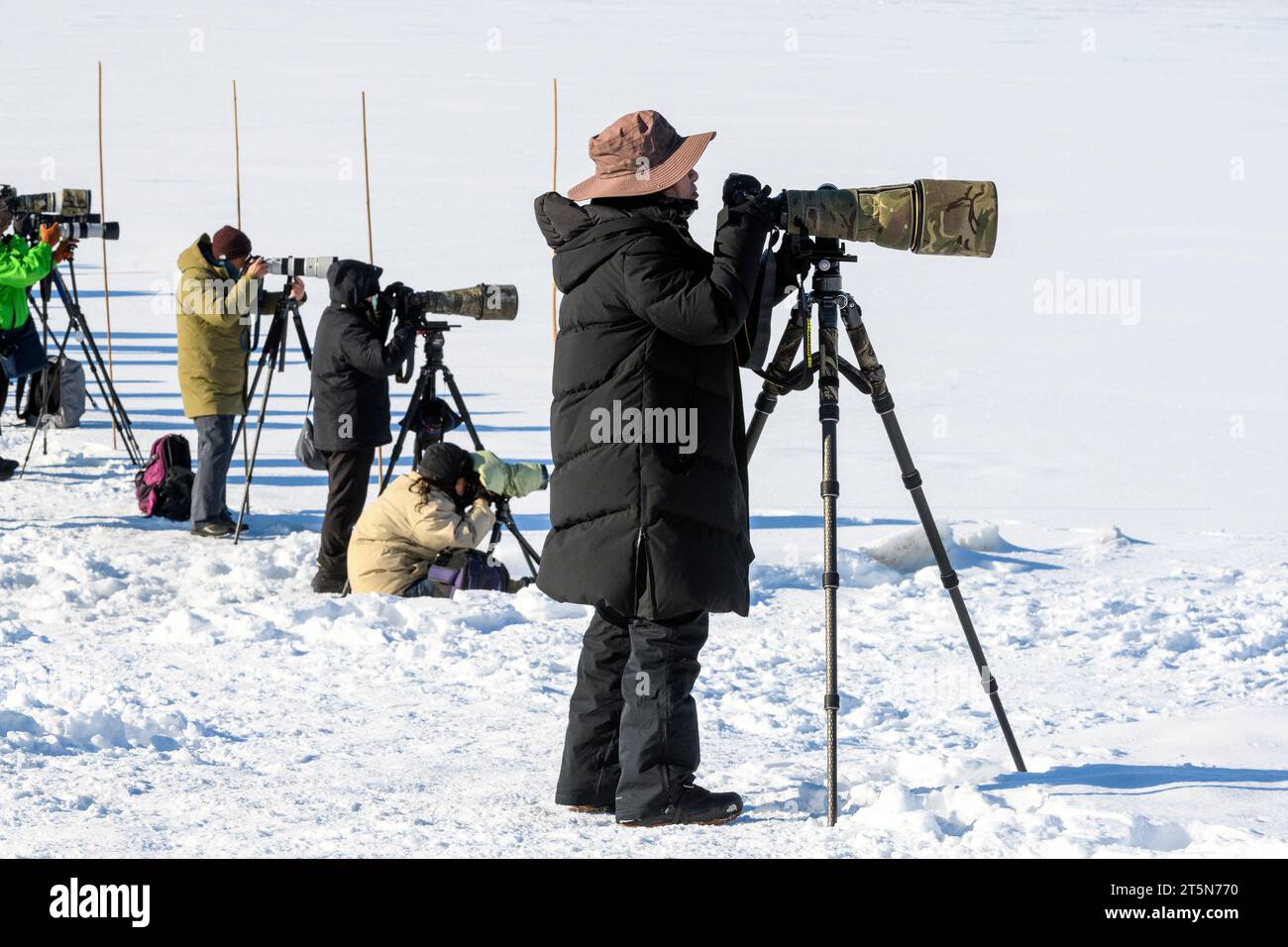 Nature photographers at Lake Furen, Hokkaido, Japan Stock Photo - Alamy