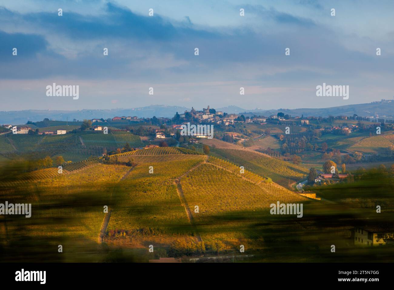 Vineyards near neive piedmont italy hi-res stock photography and images ...