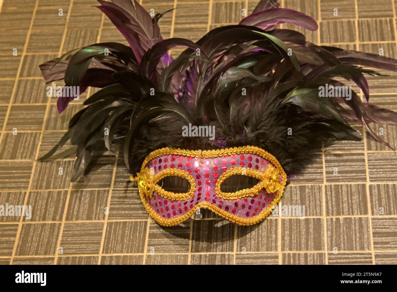 Mask features, closeup of photo Stock Photo - Alamy